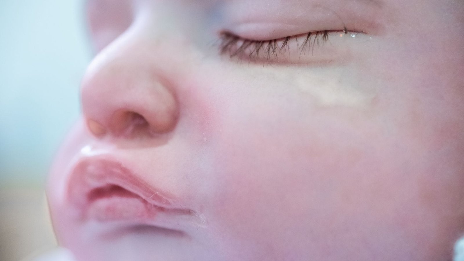 Bebê Reborn Barata: Onde Encontrar e Como Comprar - Materníssima